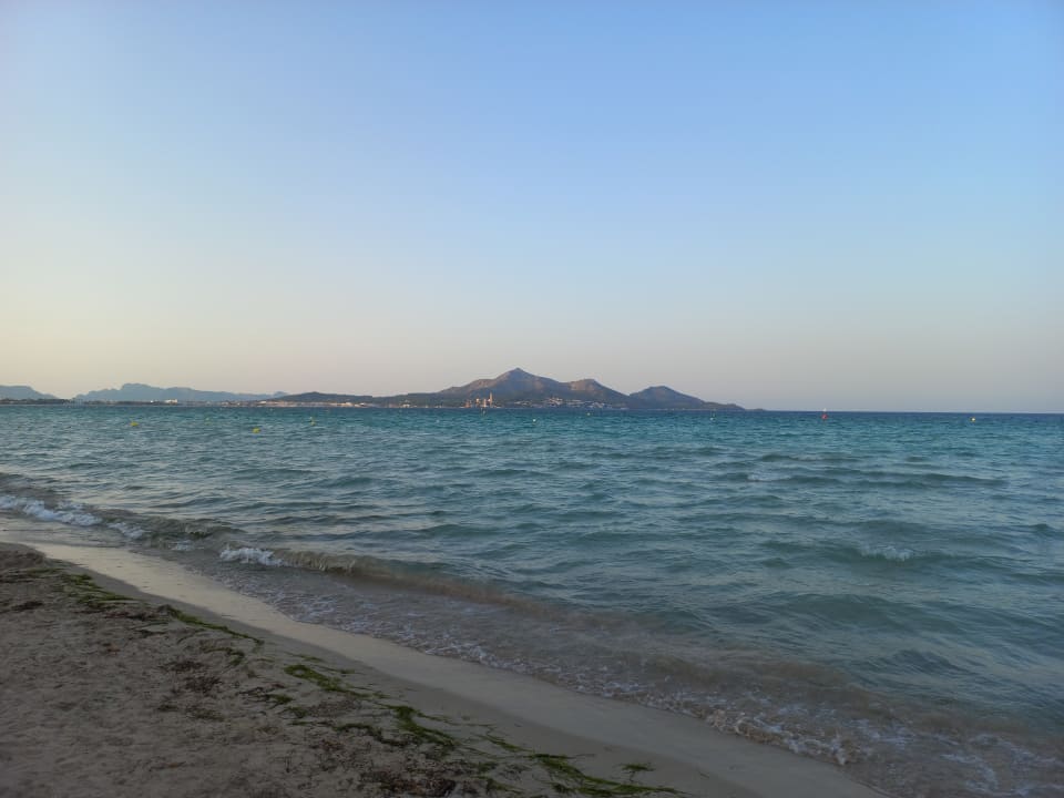 "Pool" Mar Hotels Playa de Muro Suites (Platja de Muro / Playa de Muro ...