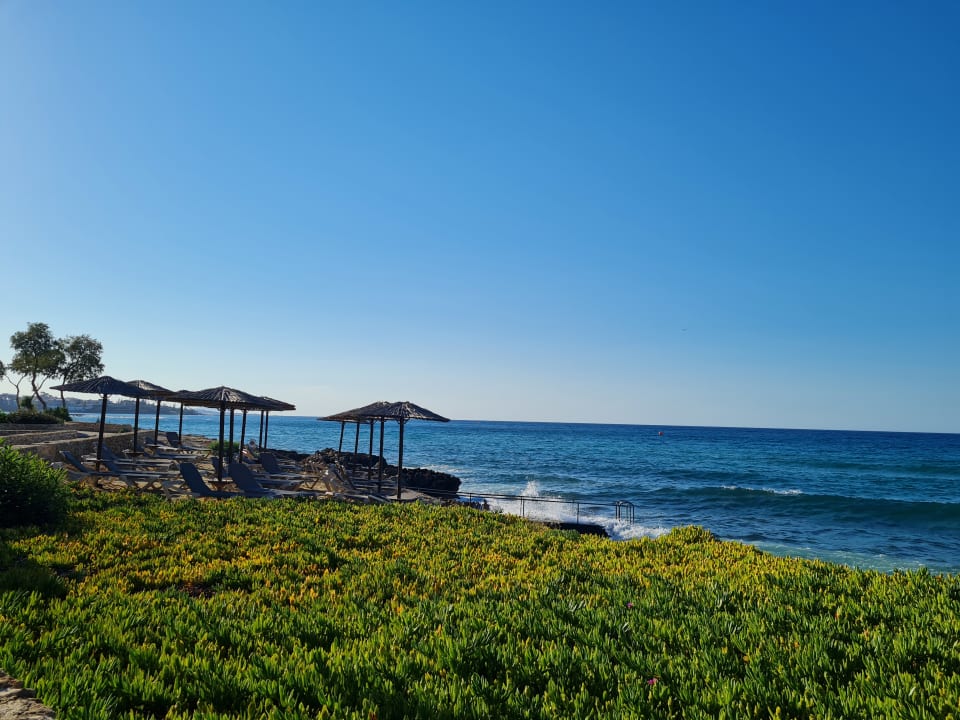 "Strand" Cactus Bay (Stalis) • HolidayCheck (Kreta | Griechenland)