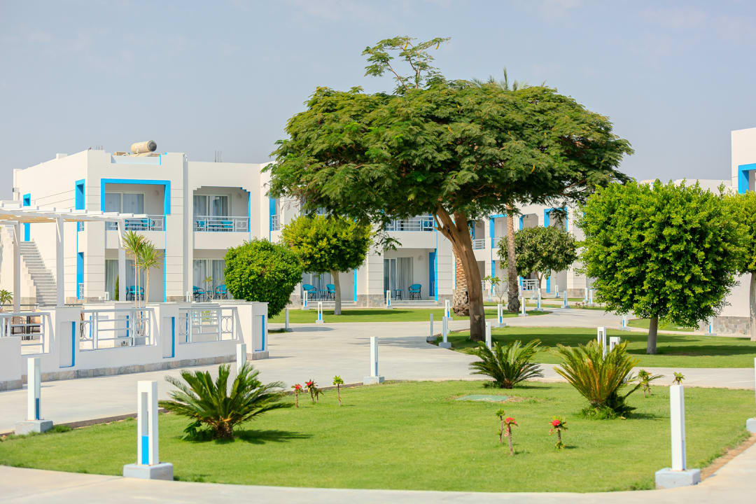 "Gartenanlage" Casa Blue Resort (Marsa Alam) • HolidayCheck (Marsa Alam ...