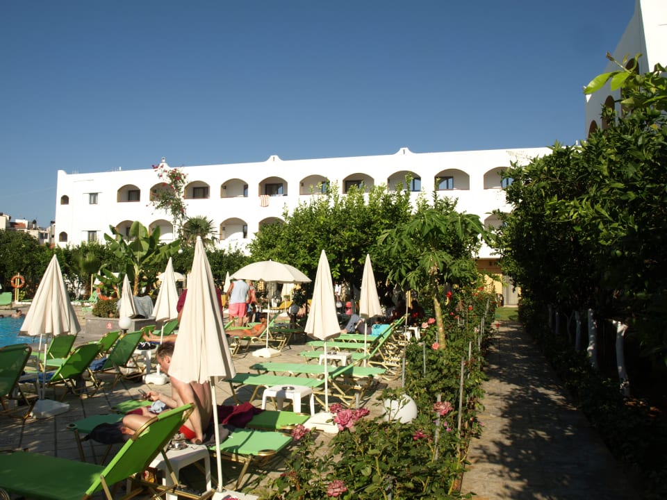 "Außenansicht" Hotel Malia Holidays (Malia) • HolidayCheck (Kreta ...