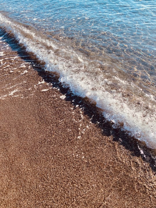 "Strand" Blue Sea Beach Resort (Faliraki) • HolidayCheck (Rhodos ...