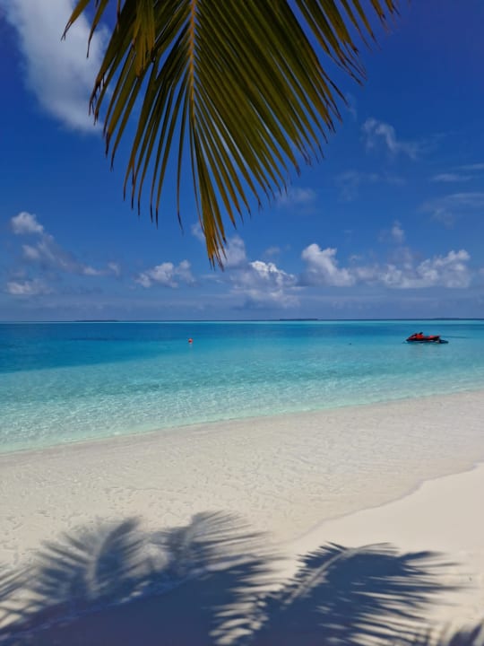 "Strand" Sun Siyam Vilu Reef (Nilandhoo) • HolidayCheck (Faafu Atoll ...