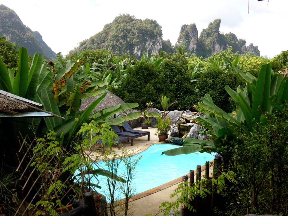 "Pool" Hotel Morning Mist Resort (Khao Sok Nationalpark) • HolidayCheck ...