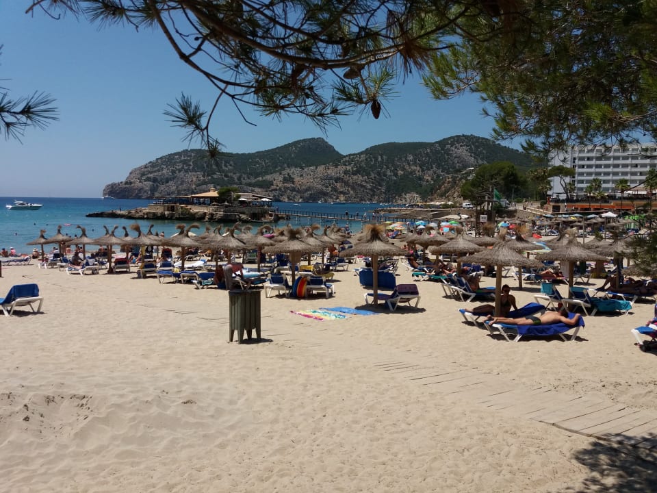"Strand" Alua Gran Camp de Mar (Camp de Mar) • HolidayCheck (Mallorca ...