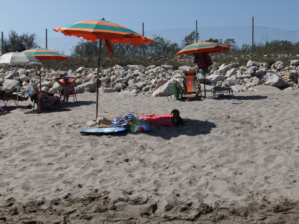 "Hundestrand" Rosapineta Camping Village (Rosolina) • HolidayCheck ...
