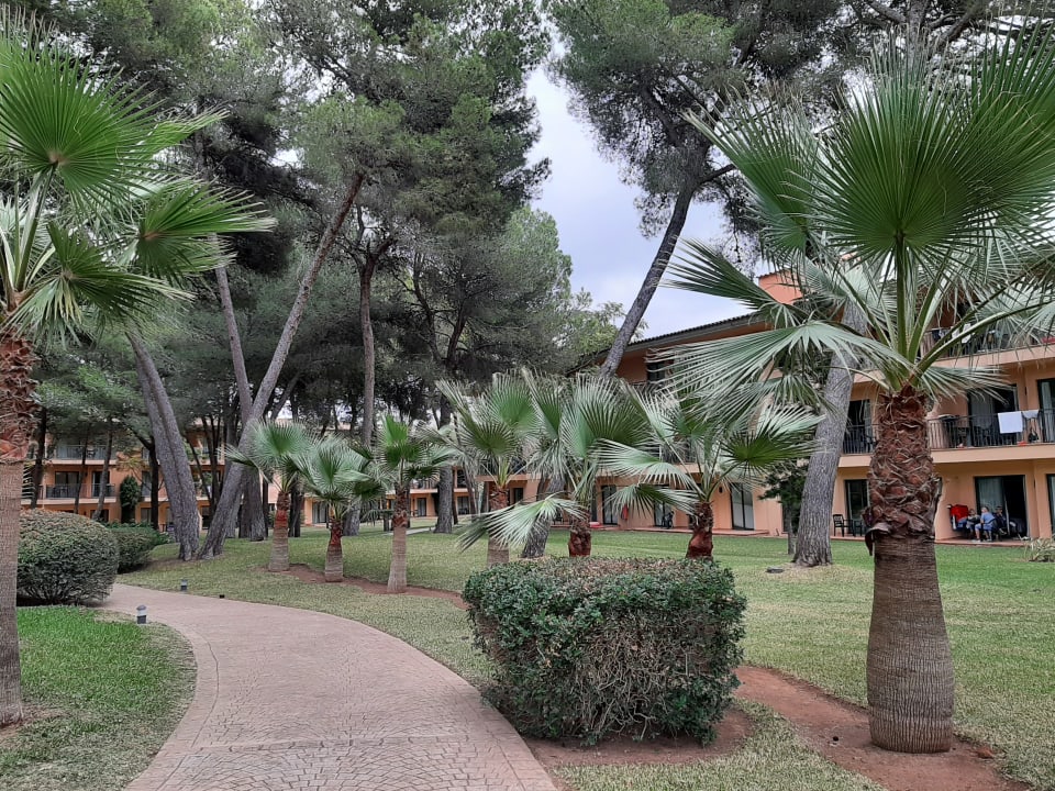 "Gartenanlage" Vell Marí Hotel & Resort (Can Picafort) • HolidayCheck ...