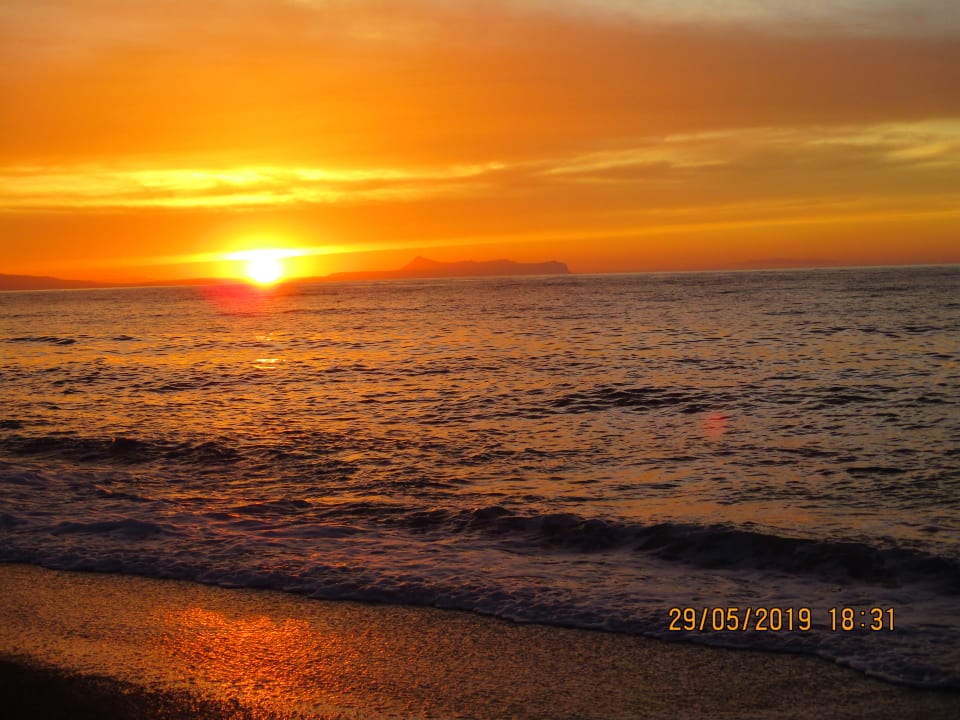 "Strand" Anita Beach Hotel (Rethymno) • HolidayCheck (Kreta | Griechenland)