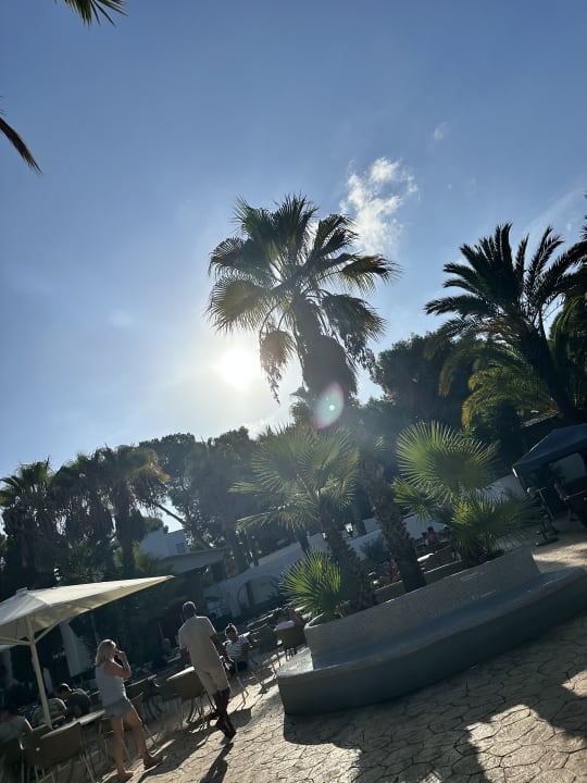 "Gastro" TUI MAGIC LIFE Cala Pada (Es Canar) • HolidayCheck (Ibiza ...
