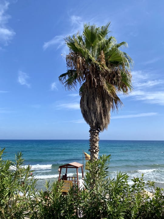 "Strand" Star Beach Village (Chersónisos / Hersonissos) • HolidayCheck ...