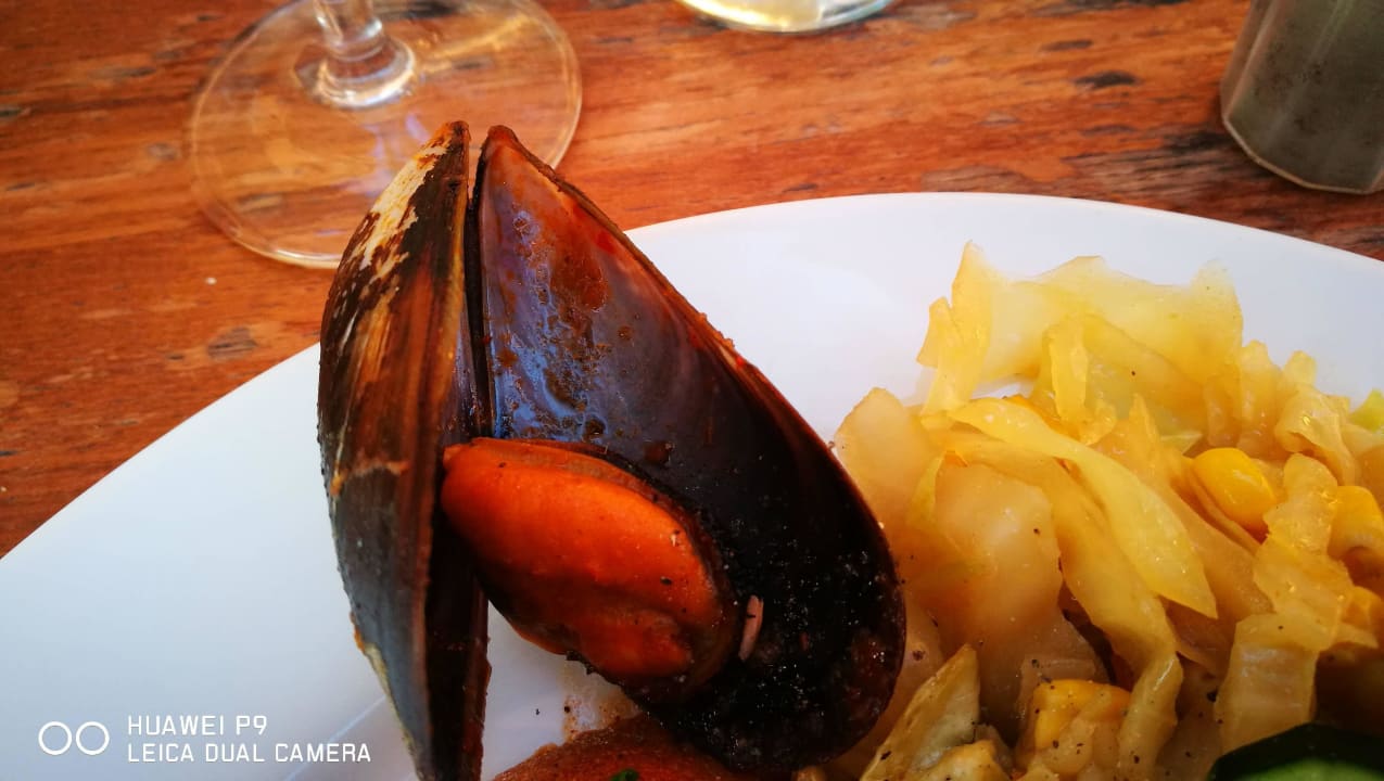 "Immer Lecker" Hotel Mariant Park (S'Illot / L'Illot) • HolidayCheck ...