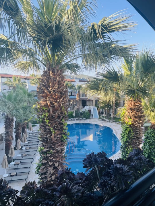 "Ausblick" Parkim Ayaz Hotel (Bodrum) • HolidayCheck (Türkische Ägäis ...