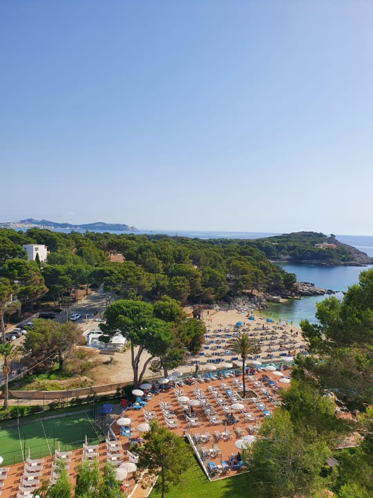 "Ausblick" AluaSoul Carolina - Adults Only (Capdepera) • HolidayCheck ...