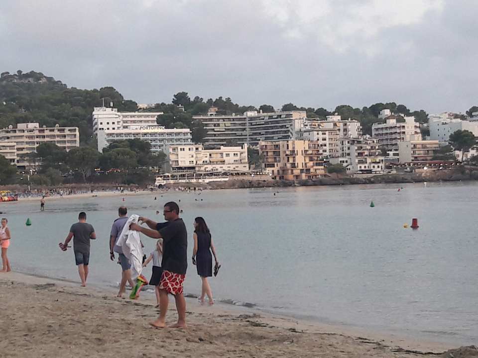 "Strand" Club Santa Ponsa (Calvia) • HolidayCheck (Mallorca | Spanien)