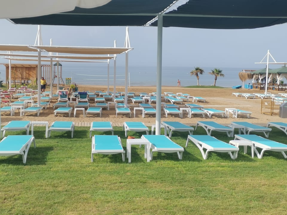 "Schaumparty" Armella Hill (Colakli) • HolidayCheck (Türkische Riviera ...