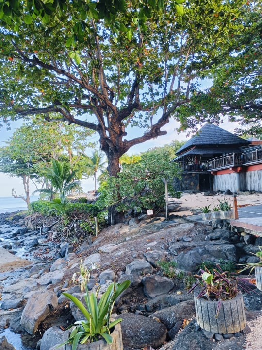 "Strand" Tamarina Golf & Spa Boutique Hotel (Tamarin) • HolidayCheck ...