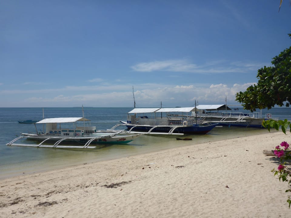 "Blick nach rechts" Hotel Linaw Beach Resort (Panglao Island ...