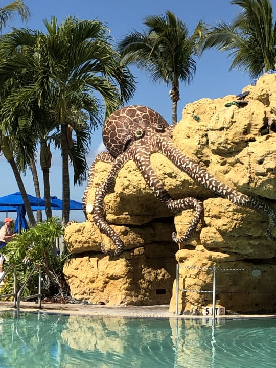 "Pool" Hotel Pink Shell Beach Resort (Fort Myers Beach) • HolidayCheck ...