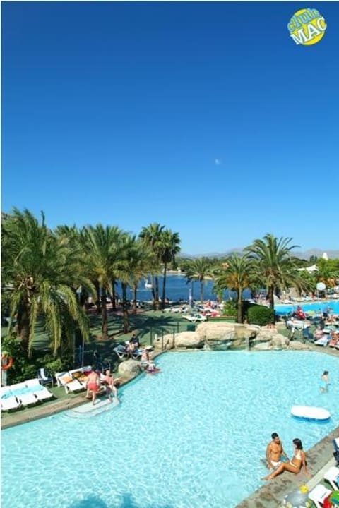 "Pools" Club Mac Alcudia (Alcudia) • HolidayCheck (Mallorca | Spanien)