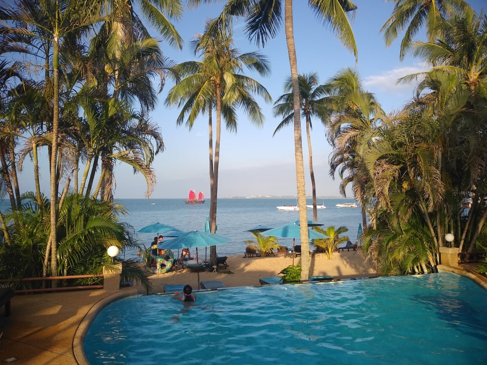 "Pool" Pinnacle Samui Resort (Maenam) • HolidayCheck (Koh Samui | Thailand)