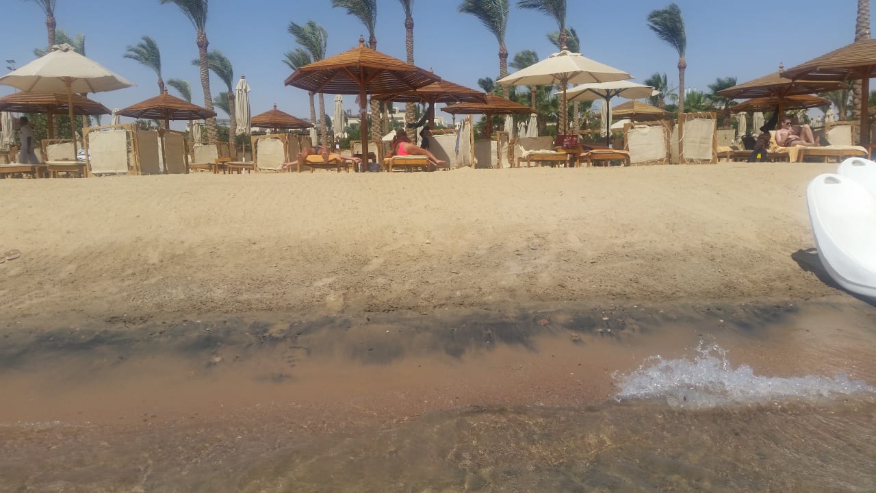 "Strand" Steigenberger ALDAU Beach Hotel (Hurghada) • HolidayCheck ...
