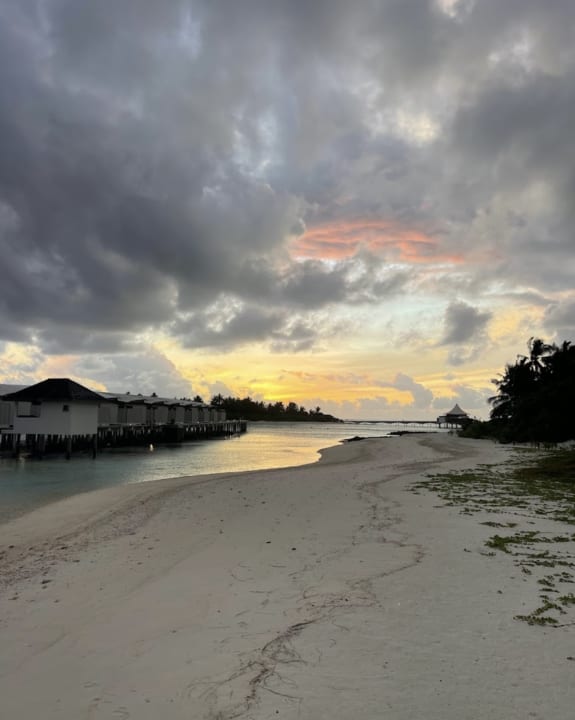 "Strand" Cinnamon Hakuraa Huraa Maldives (Muli) • HolidayCheck (Meemu ...