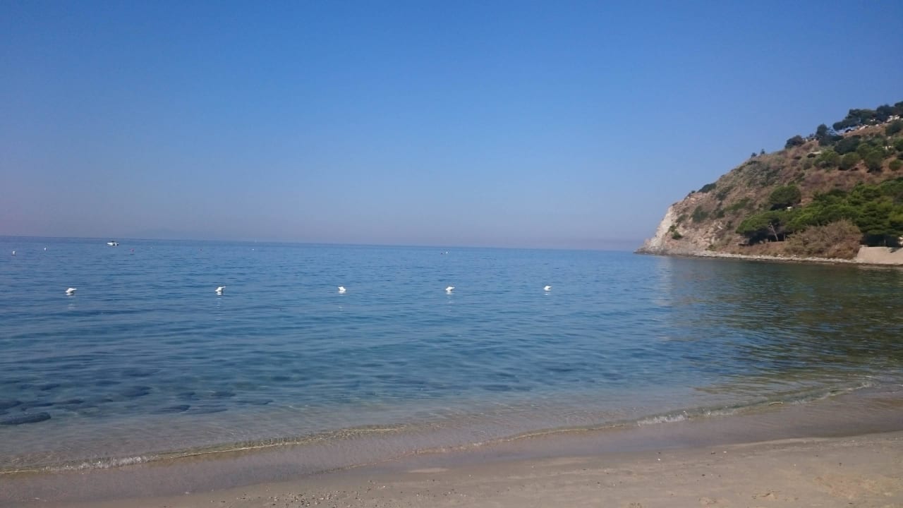 "Strand" Park Hotel Santa Maria (Ricadi) • HolidayCheck (Kalabrien ...