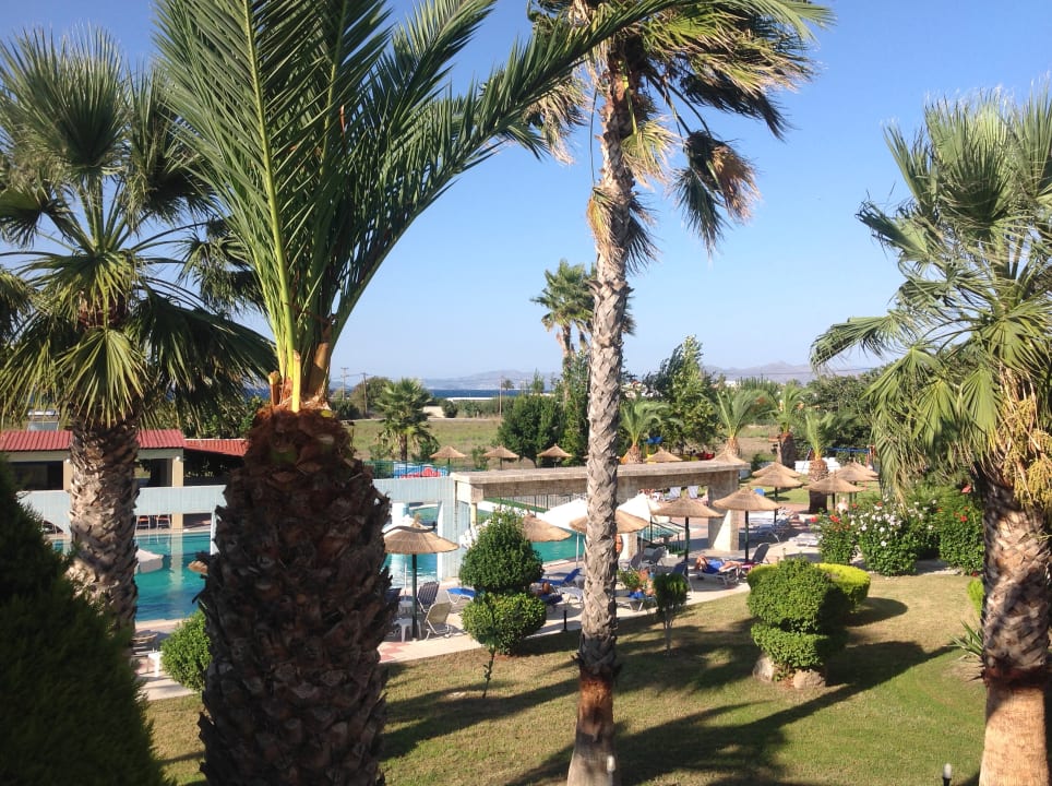 "Pool" Corali Hotel (Tigaki) • HolidayCheck (Kos | Griechenland)