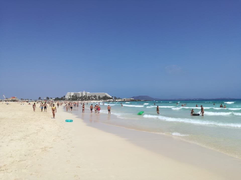 "Strand" Hotel Riu Oliva Beach Resort (Corralejo) • HolidayCheck ...