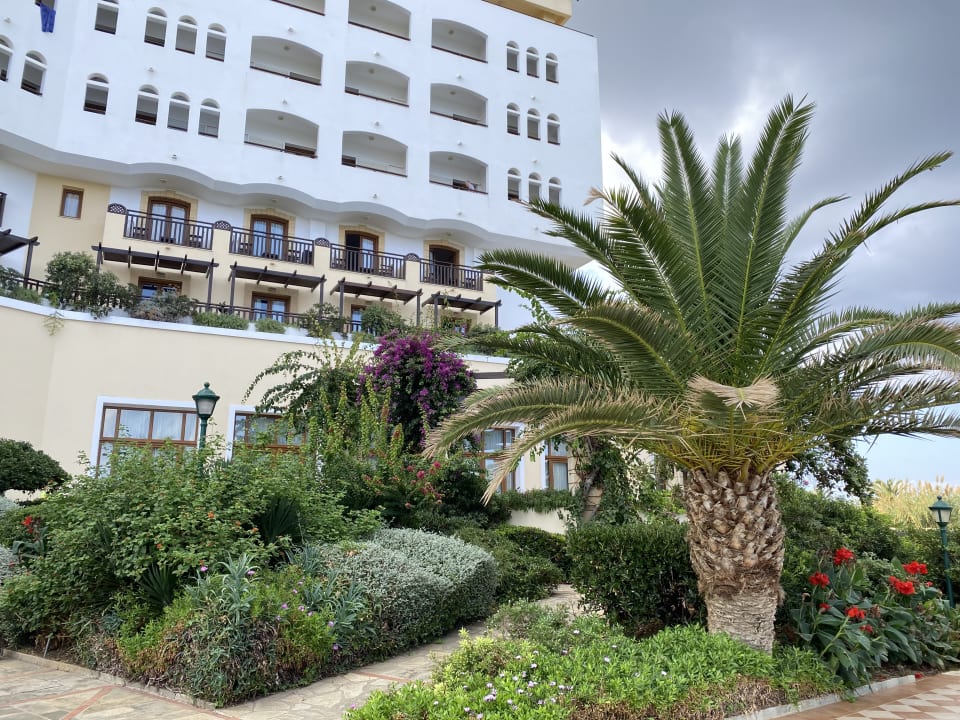 "Außenansicht" Creta Star Hotel - Adults only (Skaleta) • HolidayCheck ...