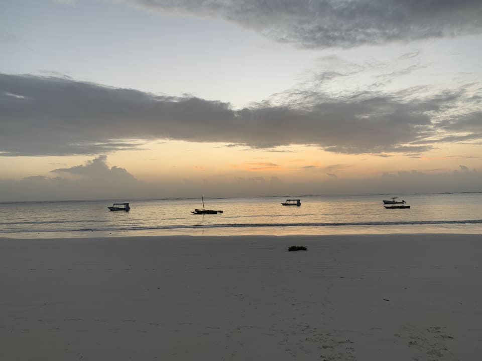 "Strand" Diani Sea Resort (Diani Beach) • HolidayCheck (Provinz Coast ...