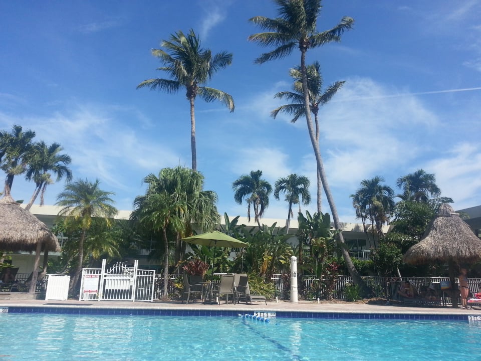 "Pool" Hotel Holiday Inn Key Largo (Key Largo) • HolidayCheck (Florida ...