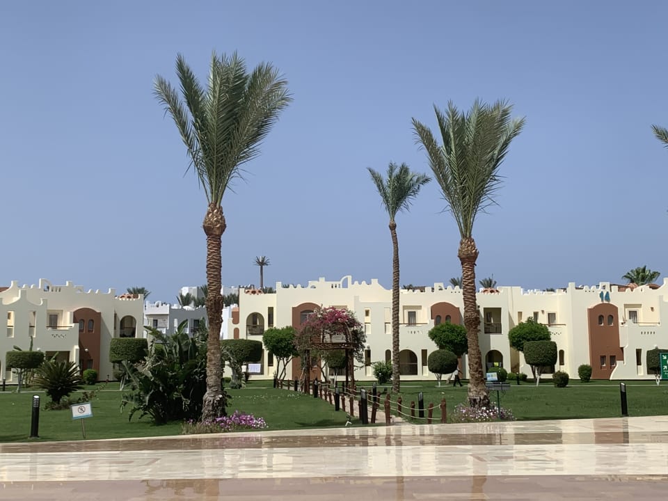 "Chicha Lounge " SUNRISE Royal Makadi Resort (Makadi Bay ...