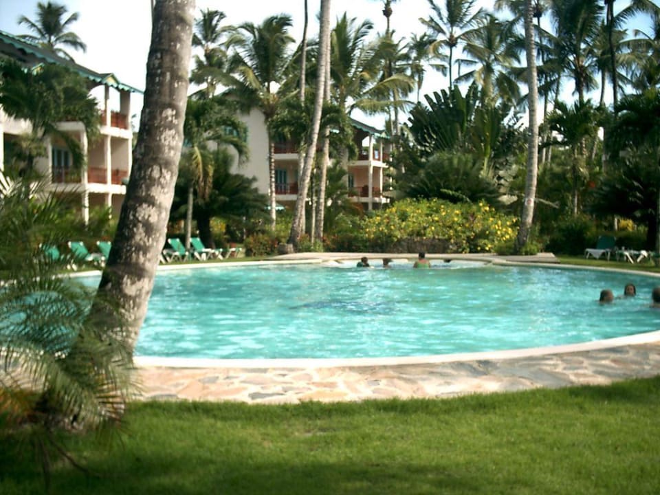 "Im Zentrum der Hotelanlag..." Hotel Playa Colibri (Las Terrenas ...