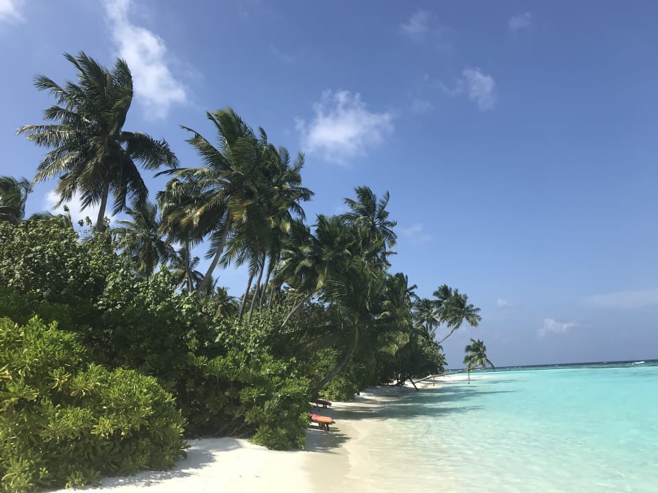"Strand" Sun Siyam Vilu Reef (Nilandhoo) • HolidayCheck (Faafu Atoll ...