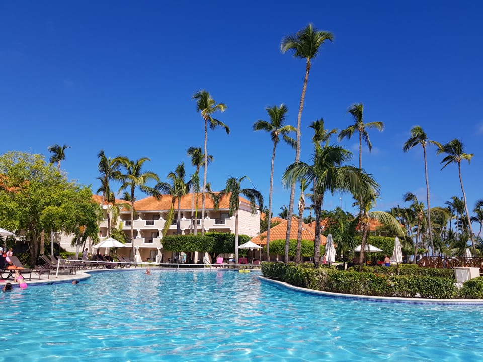"Pool" Jewel Palm Beach (Punta Cana) • HolidayCheck (Dominikanische ...