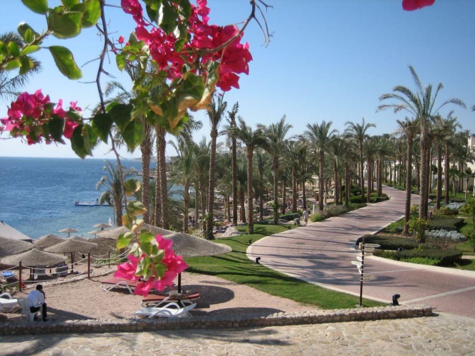 "Weg zum Meer" Coral Beach Tiran Resort (Shark Bay) • HolidayCheck ...