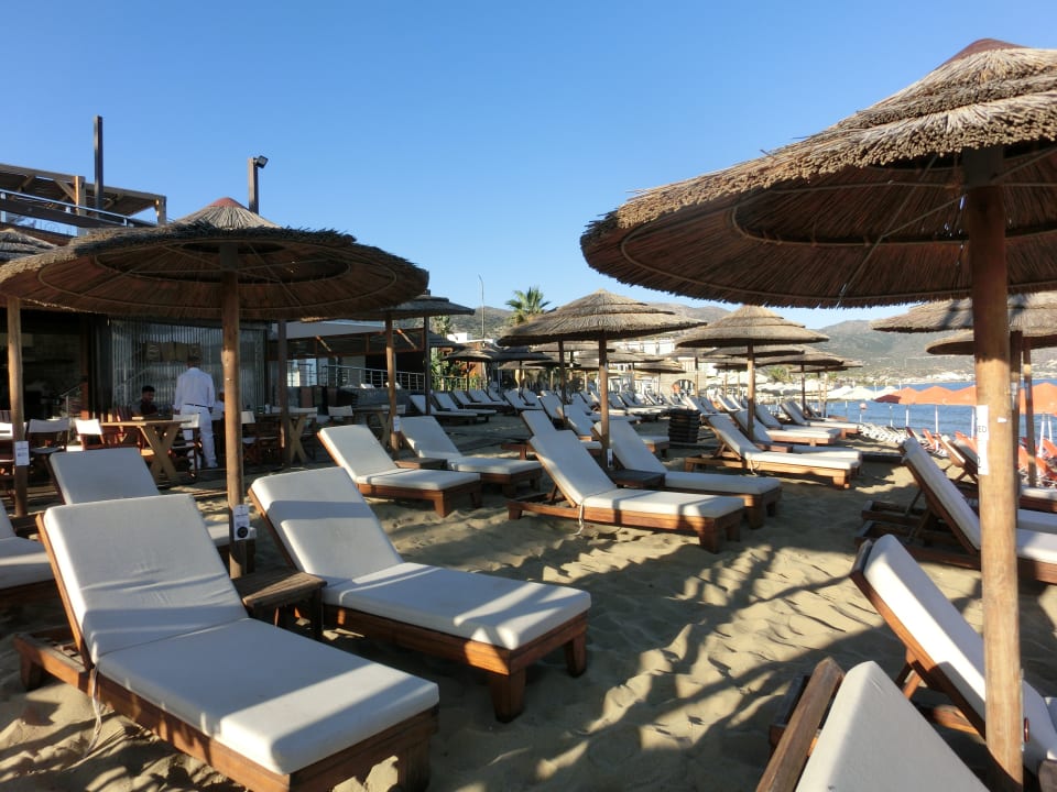 "Strand" High Beach White - Adults Only (Malia) • HolidayCheck (Kreta ...