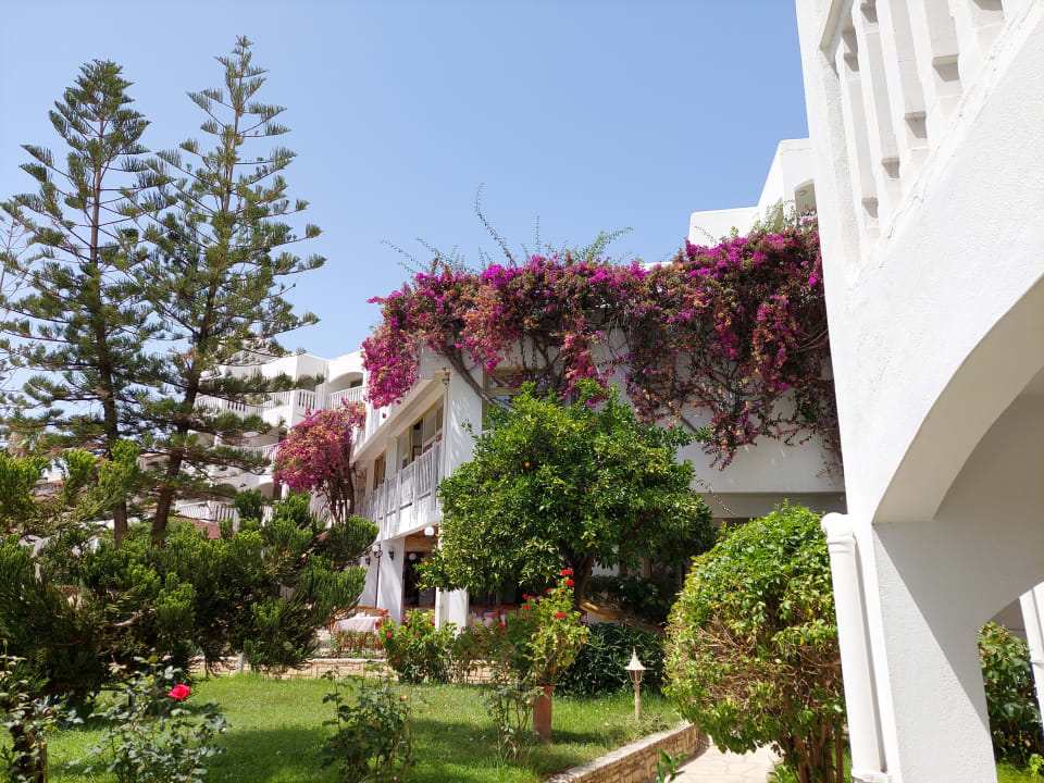 "Gastro" Hotel Defne Ana (Side) • HolidayCheck (Türkische Riviera | Türkei)