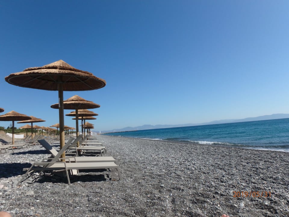 "Strand" Blue Lagoon Ocean (Psalidi) • HolidayCheck (Kos | Griechenland)