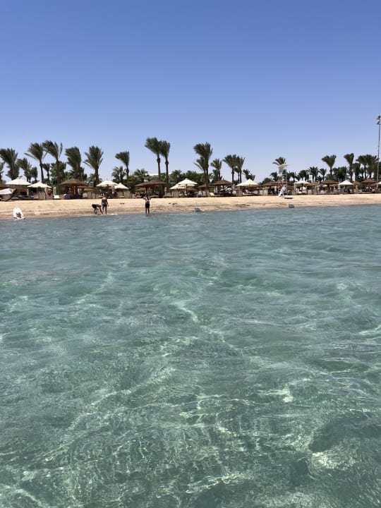 "Strand" Steigenberger ALDAU Beach Hotel (Hurghada) • HolidayCheck ...