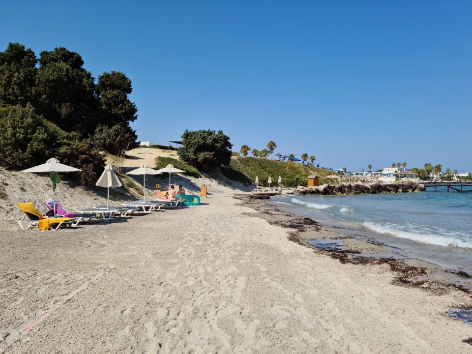 "Strand" Mastichari Bay Hotel (Mastichari) • HolidayCheck (Kos ...