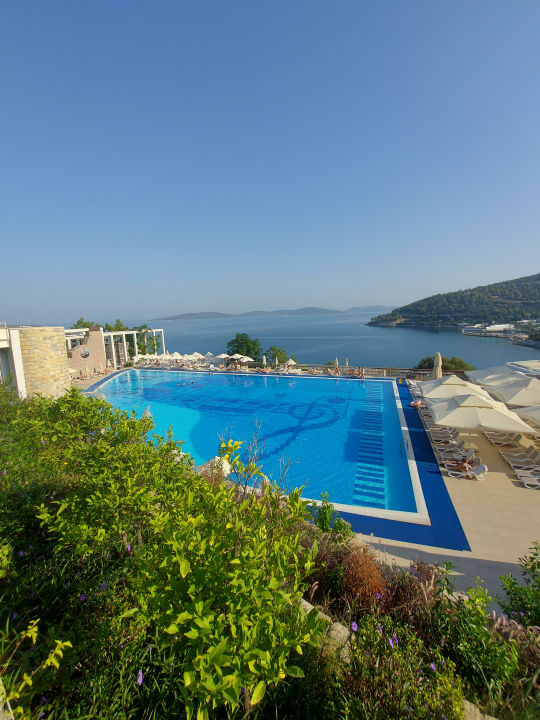 "Pool" Duja Bodrum (Torba) • HolidayCheck (Türkische Ägäis | Türkei)