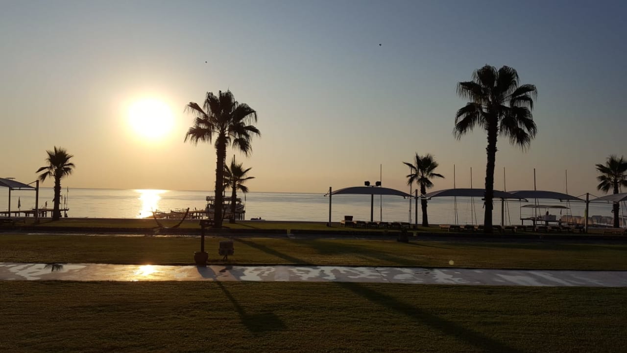 "Robinson Camyuva - traumh..." ROBINSON ÇAMYUVA (Camyuva ...