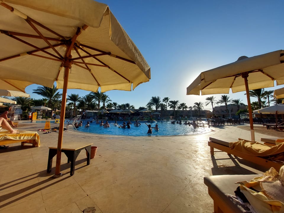 "Wasserball " Club Paradisio El Gouna, Red Sea (El Gouna ...