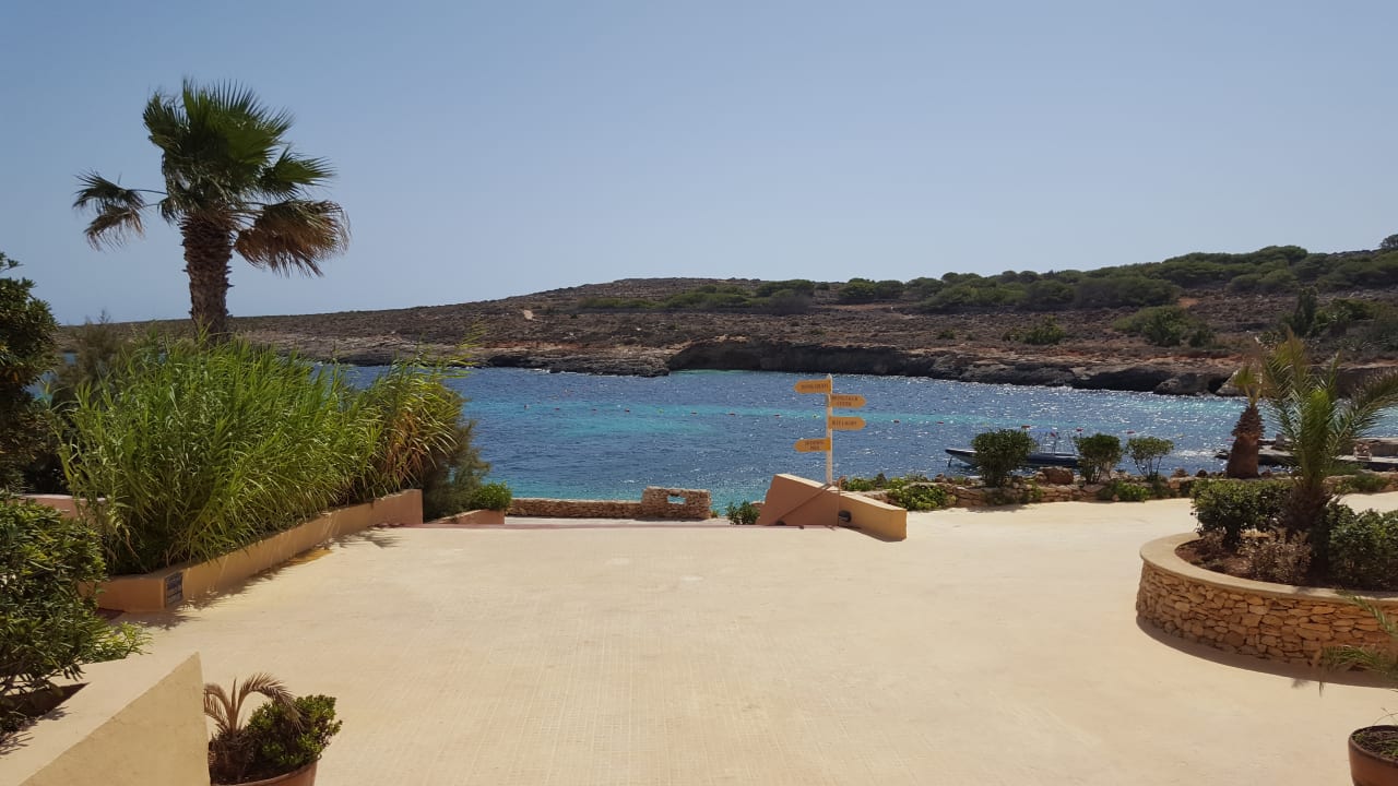 "Außenansicht" Comino Hotel & Bungalows (Insel Comino) • HolidayCheck ...