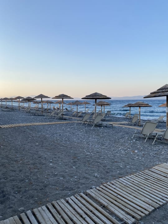 "Strand" Blue Lagoon Ocean (Psalidi) • HolidayCheck (Kos | Griechenland)