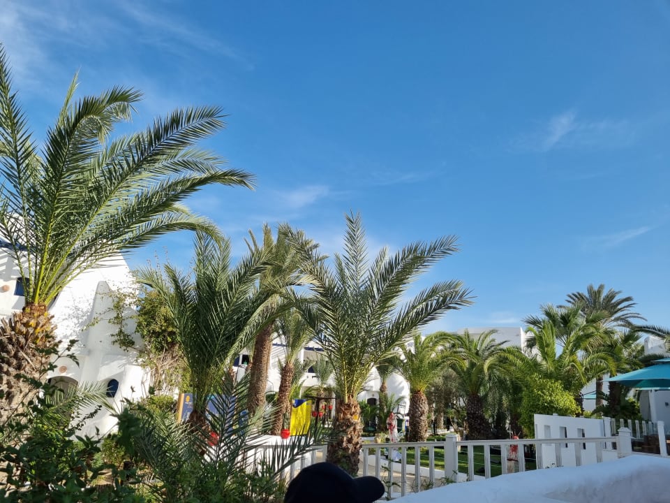 "Ausblick" Hotel Fiesta Beach Djerba (Midoun) • HolidayCheck (Djerba ...
