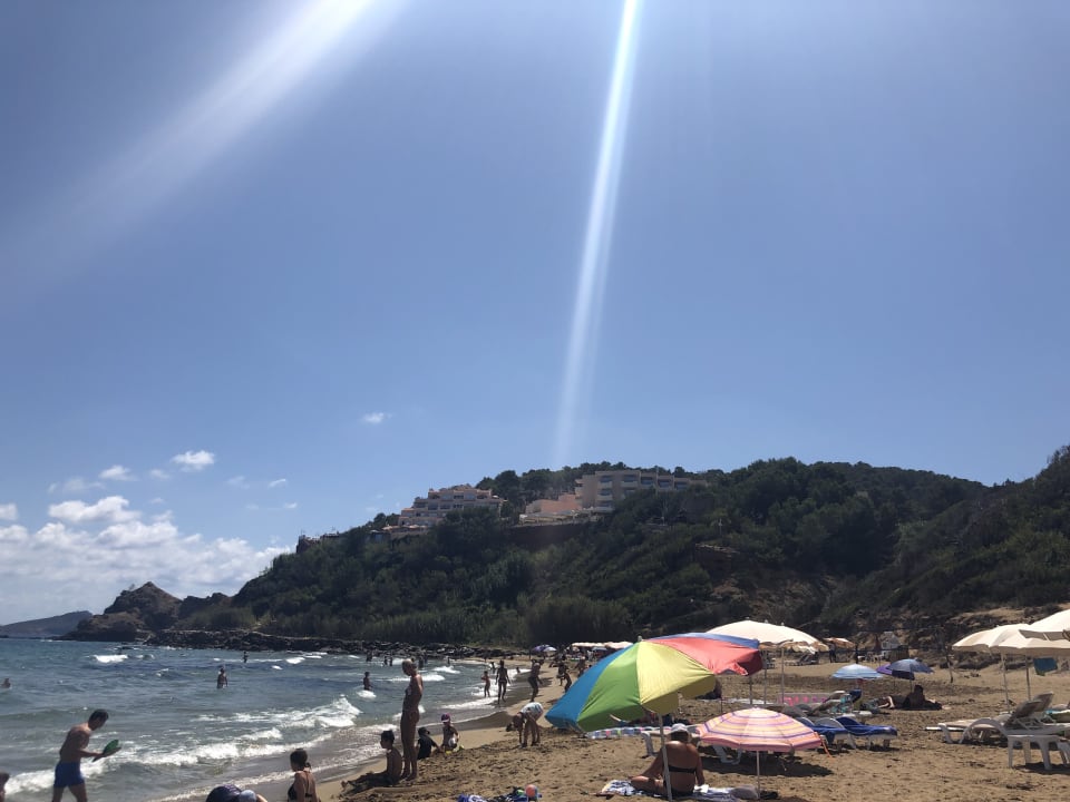 "Gartenanlage" Sentido Cala Verde (Playa Des Figueral) • HolidayCheck ...