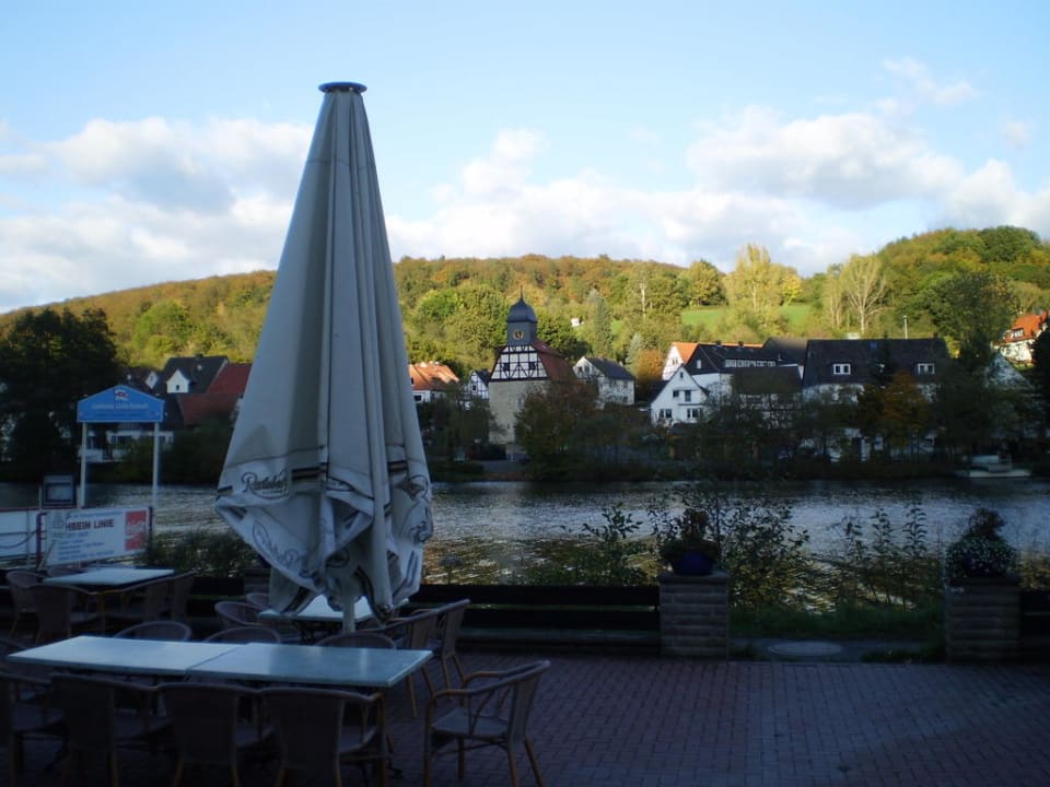 "Blick über die Fulda" Roter Kater & Graue Katze (Kassel ...