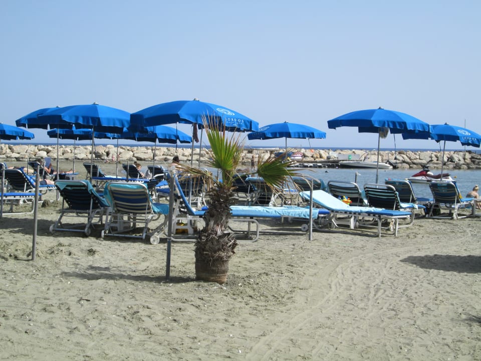 "Strand" Lordos Beach Hotel & Spa (Pyla) • HolidayCheck (Südzypern ...